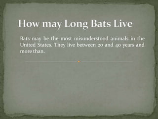 Some basic facts about bats | PPTX