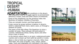 Some Climatic Regions Of The World | PPT