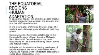 Human Adaptation In Equatorial Region
