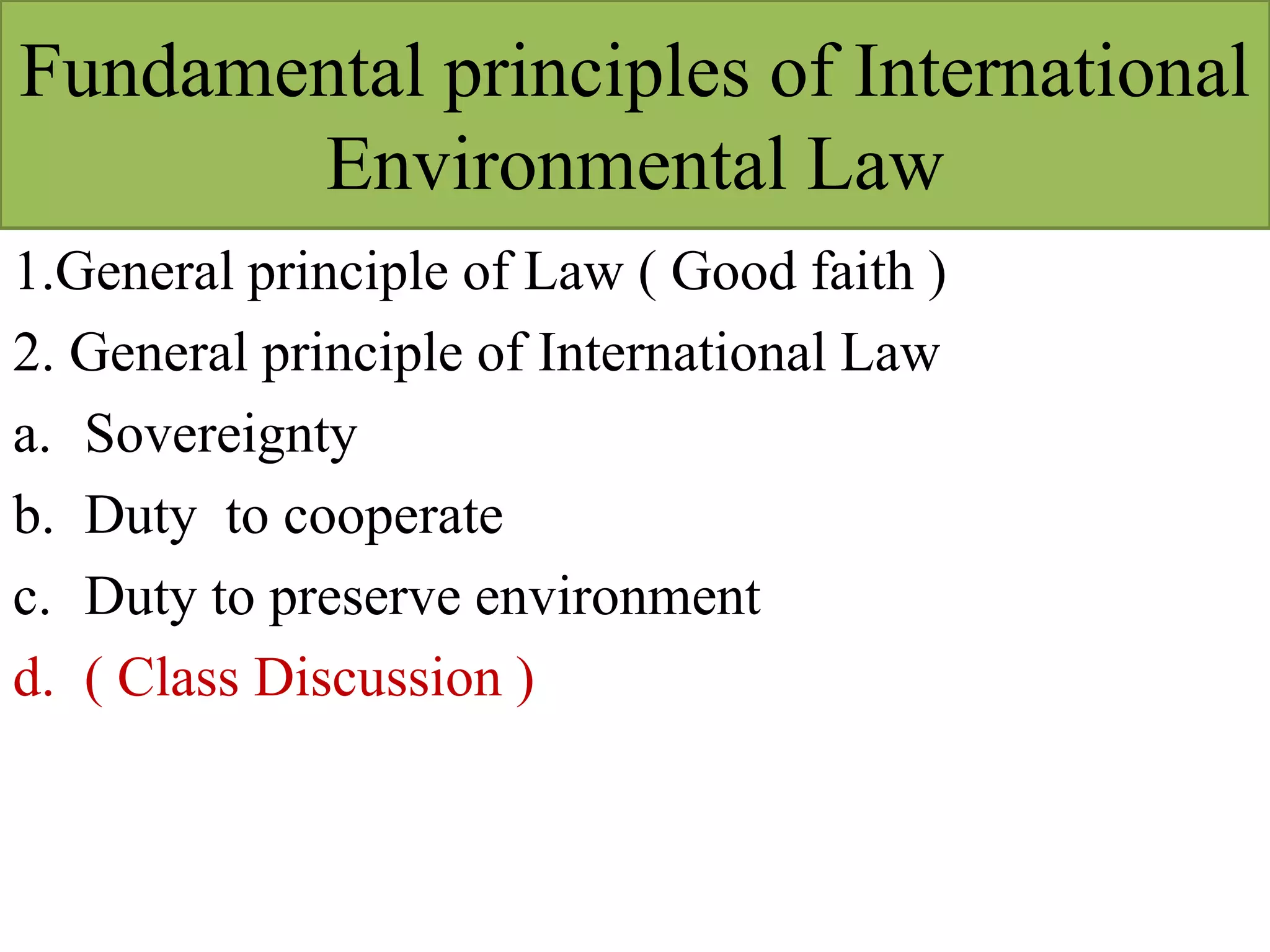 Some Common International Environmental Law Principle.pptx