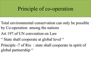 Some Common International Environmental Law Principle.pptx