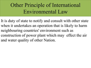 Some Common International Environmental Law Principle.pptx