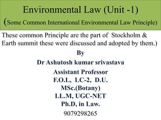 Some Common International Environmental Law Principle.pptx