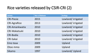 SOME DATA ON RICE IN GHANA.pptx