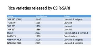 SOME DATA ON RICE IN GHANA.pptx