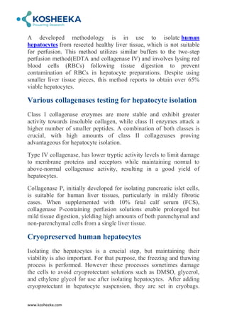 Some Facts You Should Know About Hepatocyte Culture | PDF