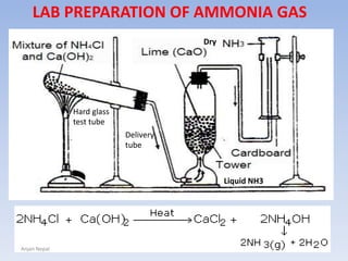 Some gases (Carbondioxide and Ammonia) Chapter for SEE Nepal | PPT