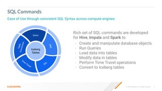 Some Iceberg Basics for Beginners (CDP).pdf