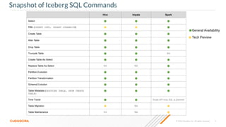 Some Iceberg Basics for Beginners (CDP).pdf