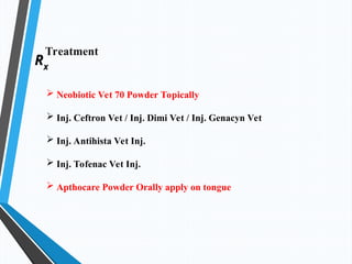 Some Important diseases of Cattle. Some Important diseases of Cattleppt ...
