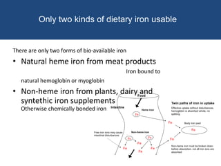 Some important facts heme iron | PPT | Free Download