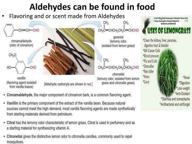 Some interesting occurrences of aldehydes and ketones in natural ...