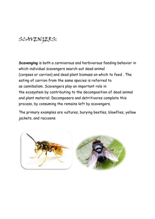 Some key words related to EED | PDF