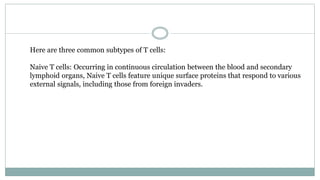 Some Memory T Cell Subtypes | PPT