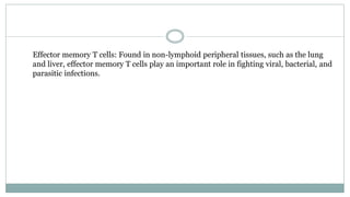 Some Memory T Cell Subtypes | PPT