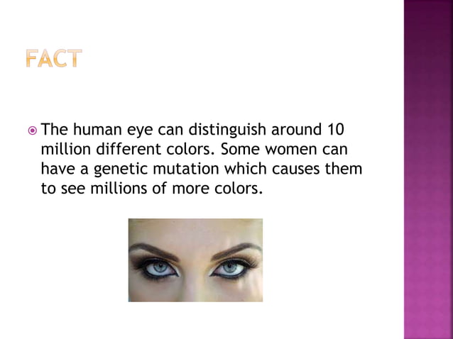 Some Myths and Fun Facts About Your Eyes | PPTX