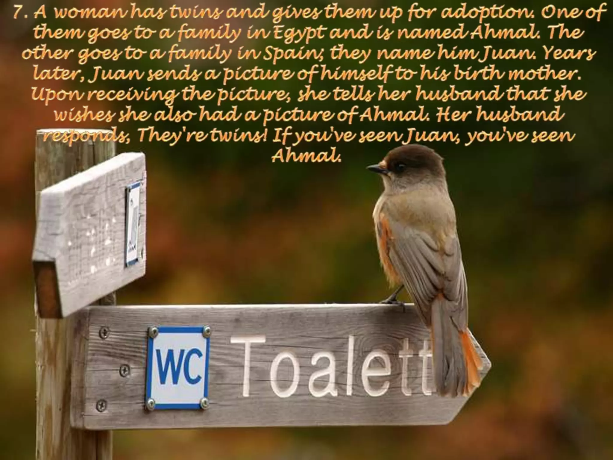 Some Of The Worst Puns In The World | PPT