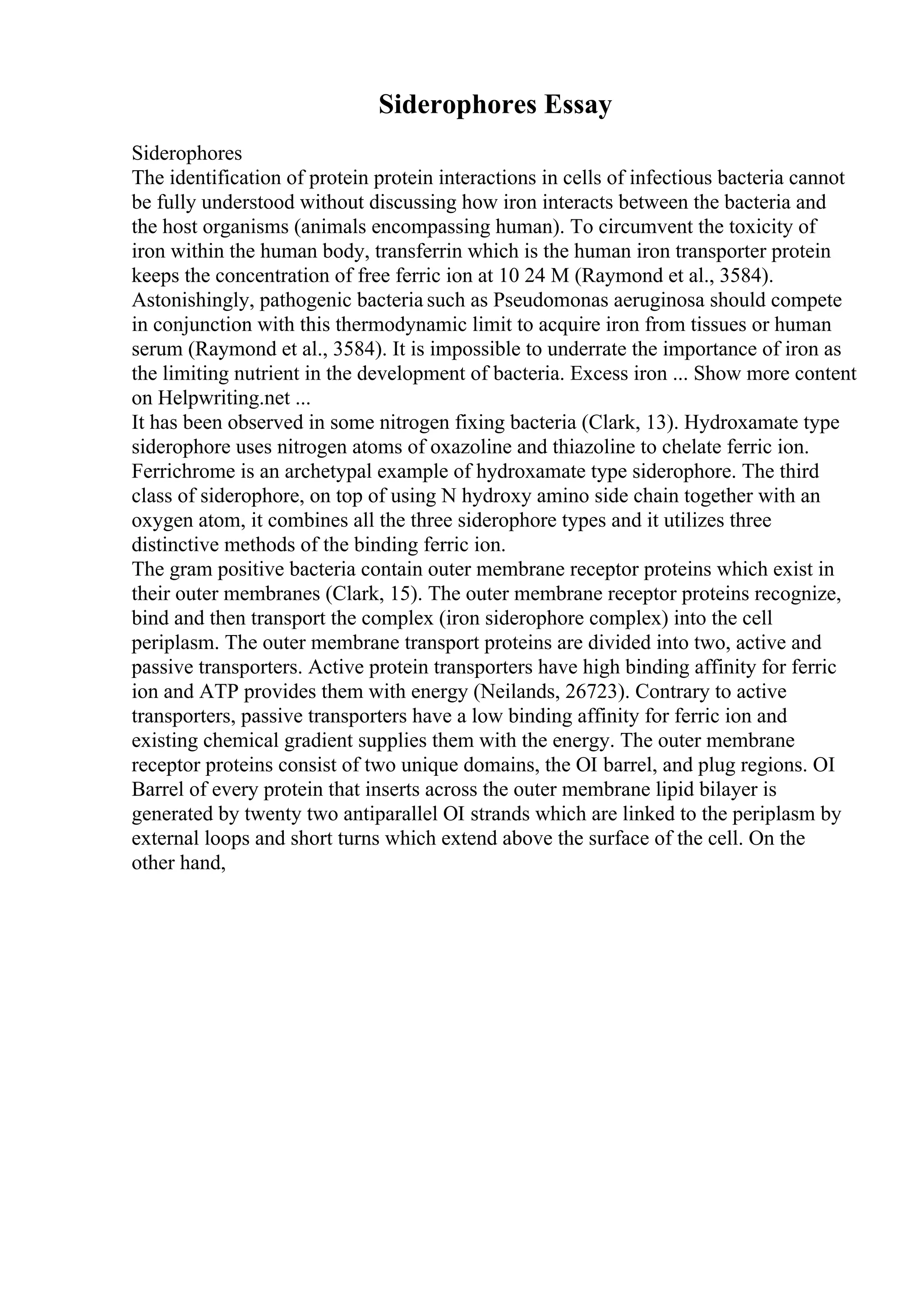 Someone I Admire Essay | PDF