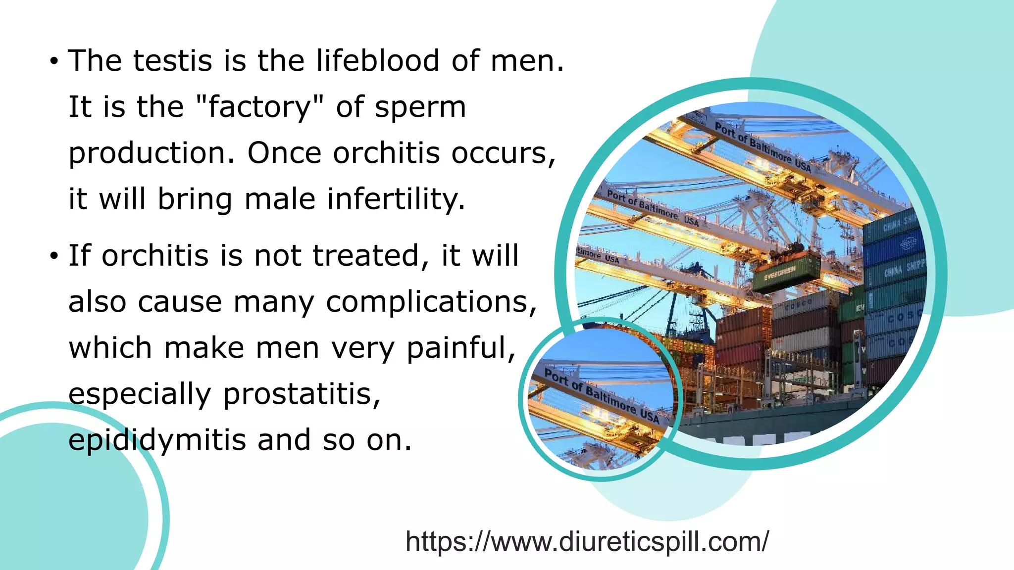 Some possible complications of orchitis | PPT