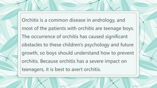 Some prevention methods of orchitis in teenagers | PPT