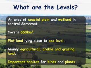 Somerset levels flood final | PPT
