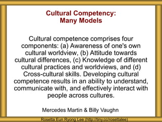 Somersfield Academy Cultural Competency | PPTX