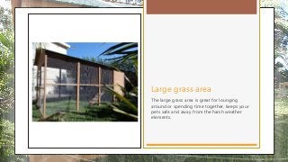 The Catio - Somerzby Cat Enclosures