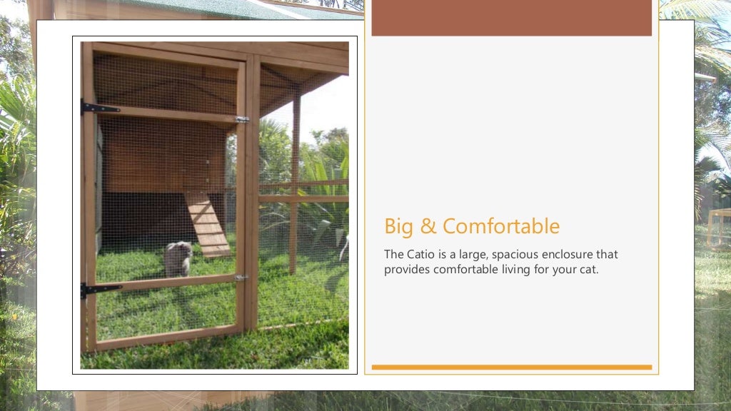 The Catio - Somerzby Cat Enclosures