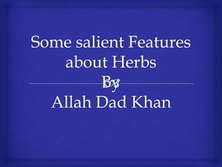 Some salient features about herbs A Presentation by Mr Allah Dad Khan ...