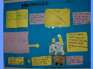 Some science projects in primary 4th grade | PPT