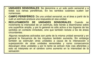 SOMESTESIA_PPT.ppt SENSOPERCEPCION SOMESTESIA | PPT