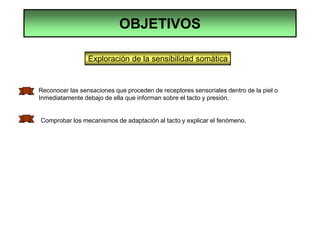 SOMESTESIA_PPT.ppt SENSOPERCEPCION SOMESTESIA | PPT