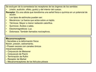 SOMESTESIA_PPT.ppt SENSOPERCEPCION SOMESTESIA | PPT