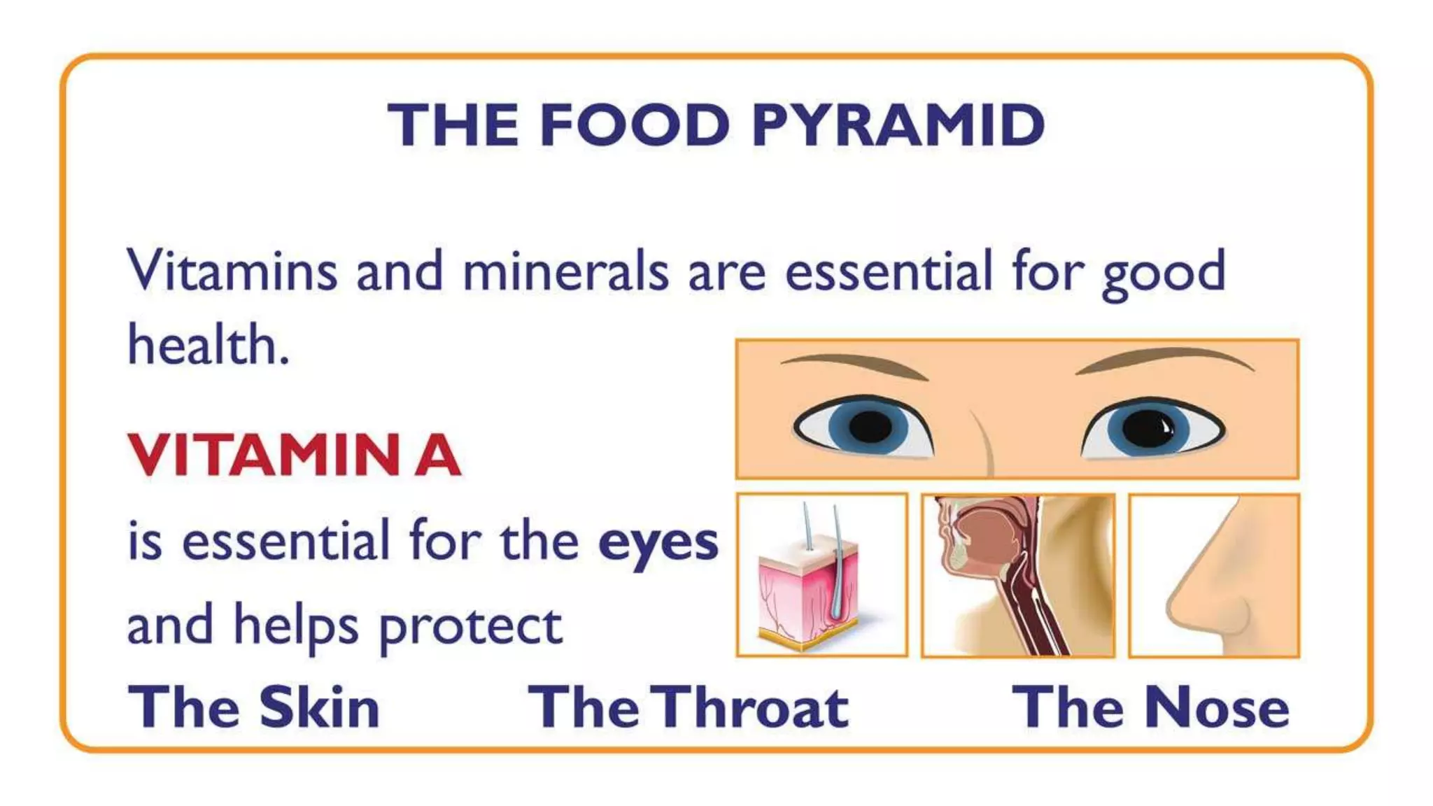 Fish: Nutritional Value and Food Pyramid - Something Fishy: Kids Lesson ...