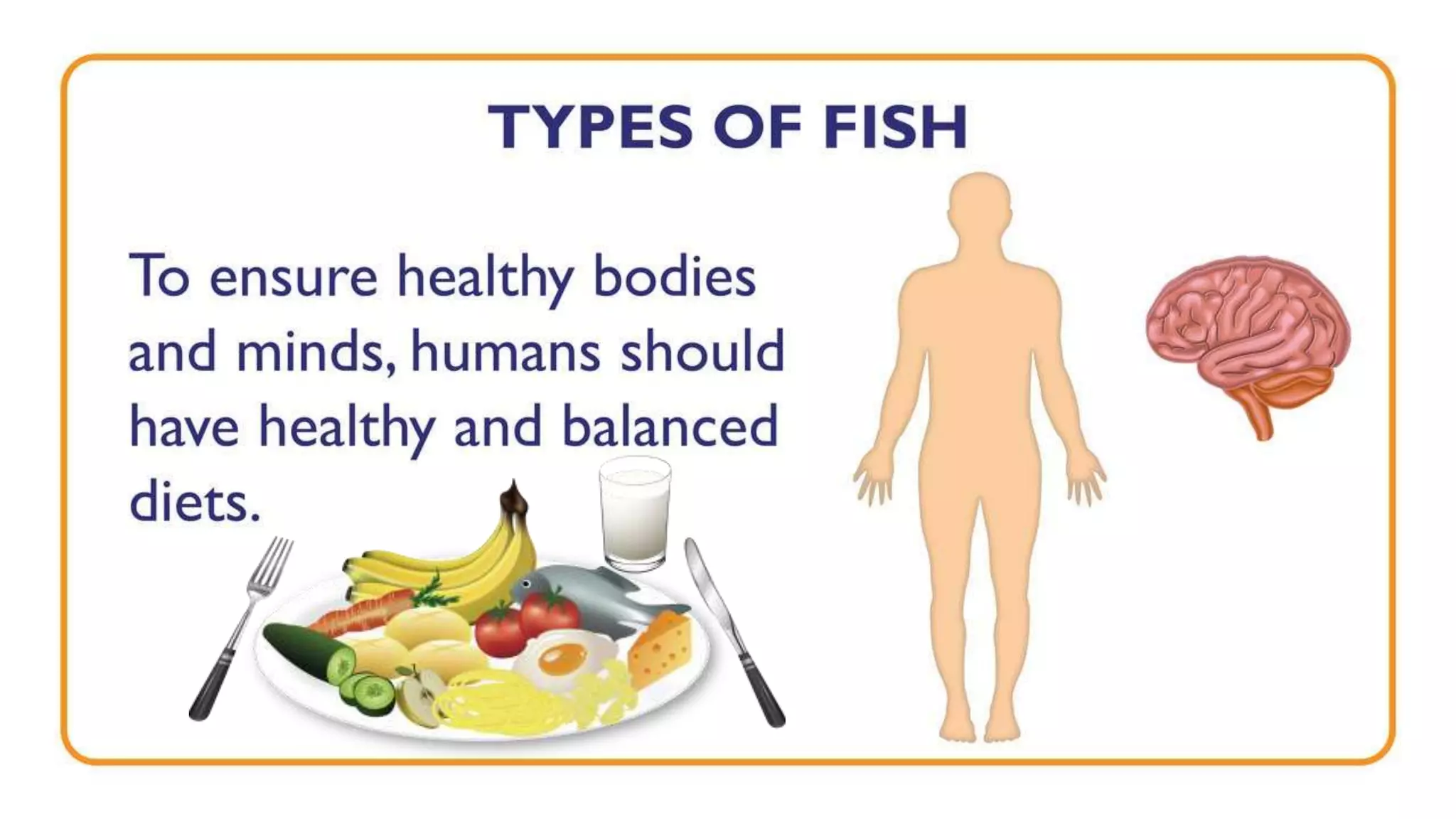 Fish: Nutritional Value and Food Pyramid - Something Fishy: Kids Lesson ...