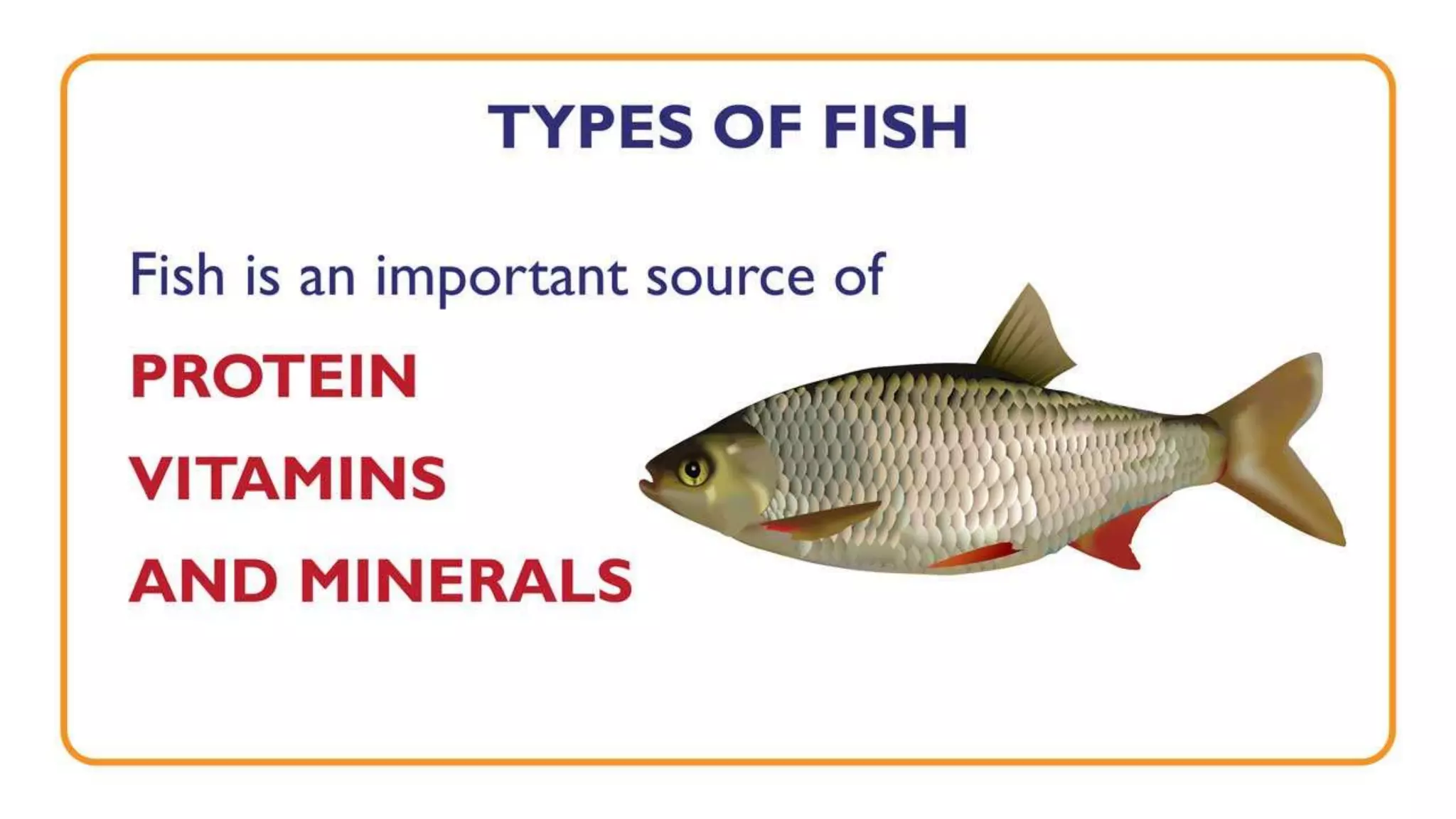 Fish: Nutritional Value and Food Pyramid - Something Fishy: Kids Lesson ...