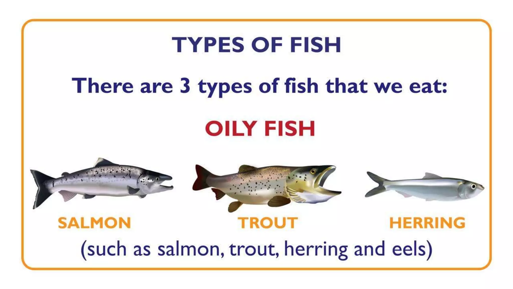 Fish: Nutritional Value and Food Pyramid - Something Fishy: Kids Lesson ...