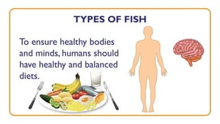 Fish: Nutritional Value and Food Pyramid - Something Fishy: Kids Lesson ...