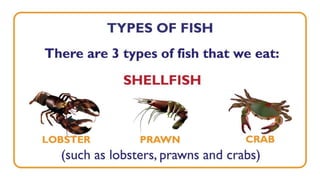 Fish: Nutritional Value and Food Pyramid - Something Fishy: Kids Lesson ...