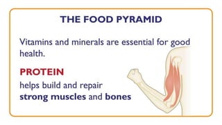 Fish: Nutritional Value and Food Pyramid - Something Fishy: Kids Lesson ...