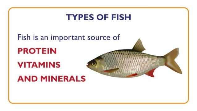 Fish: Nutritional Value and Food Pyramid - Something Fishy: Kids Less…