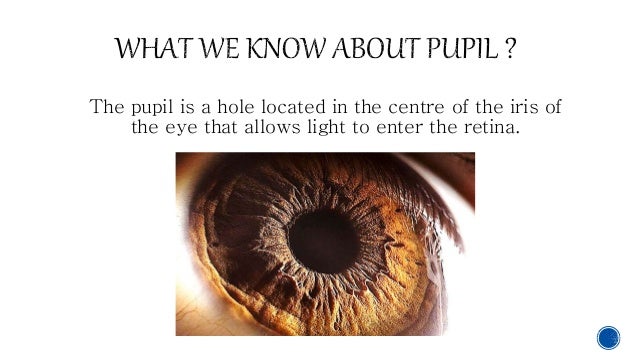 Pupil Basic
