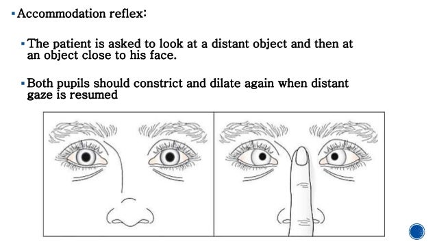 Pupil Basic