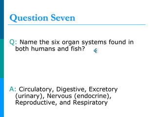 Sometime fish an anatomy lesson for middle school students | PDF