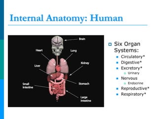 Sometime fish an anatomy lesson for middle school students | PDF