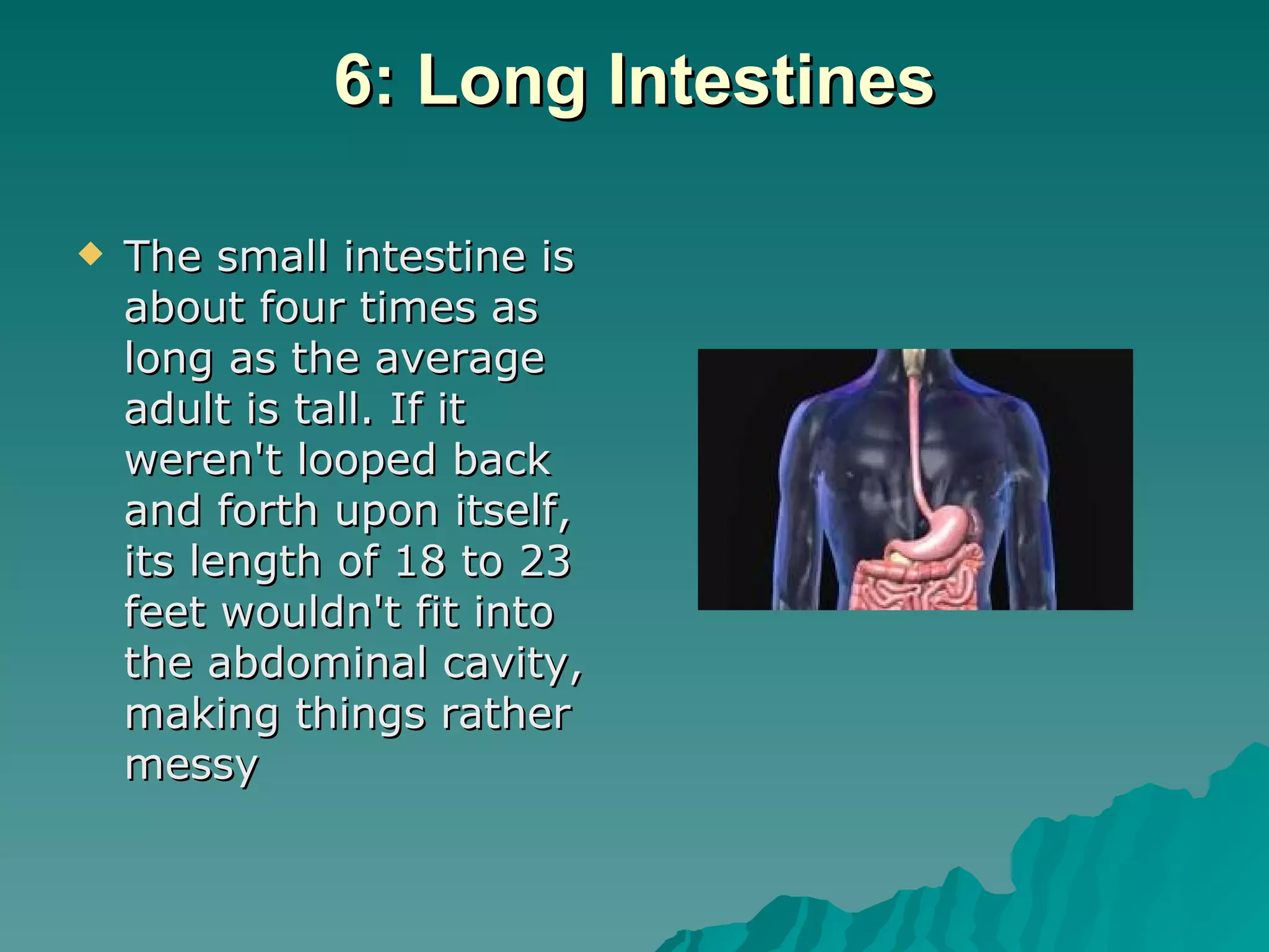 Some Unusual Facts About The Human Body | PPT
