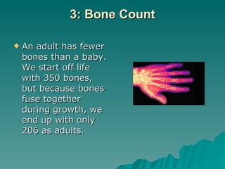 Some Unusual Facts About The Human Body | PPT