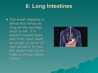 Some Unusual Facts About The Human Body | PPT