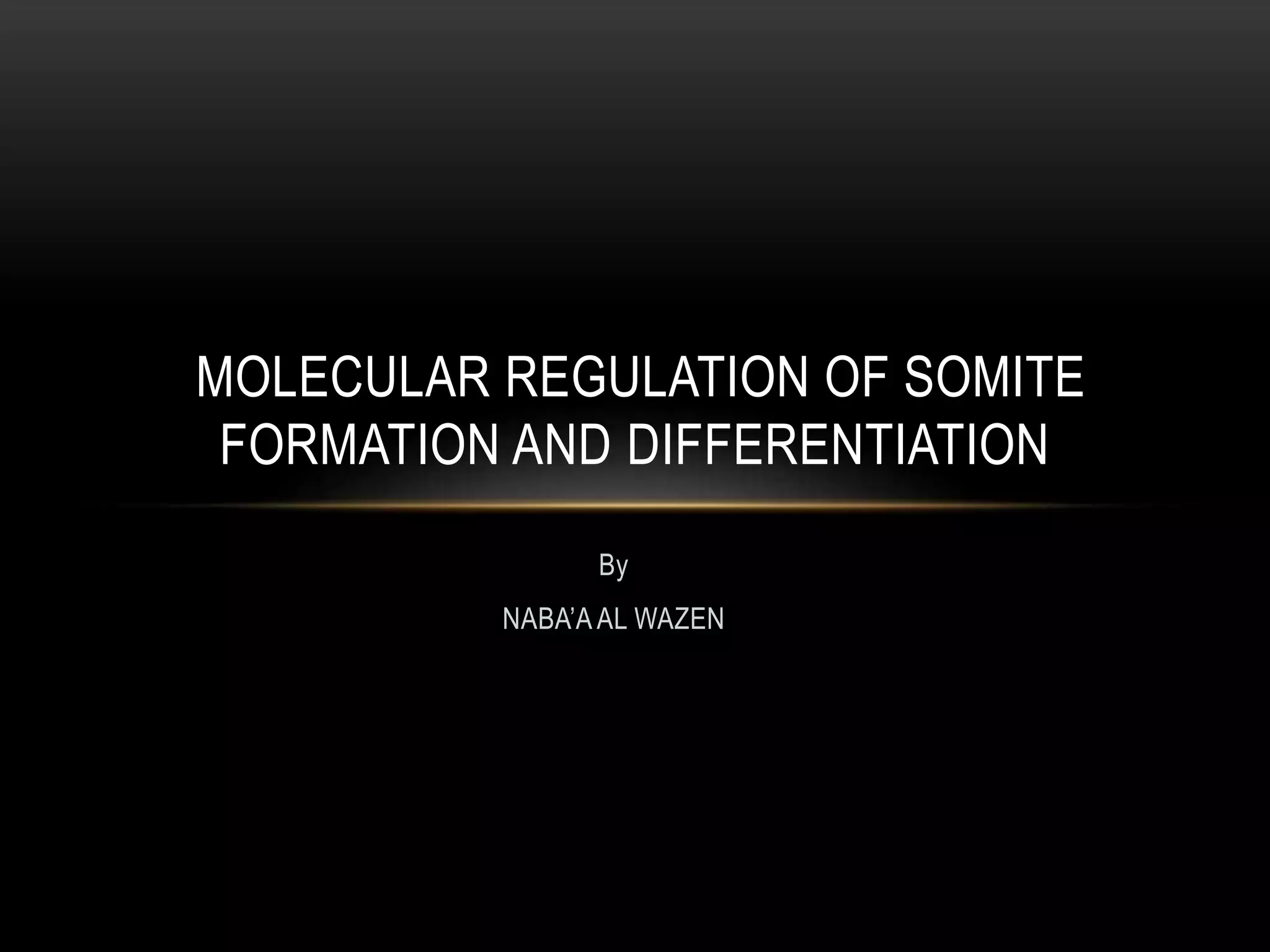 Somite formation | PPTX
