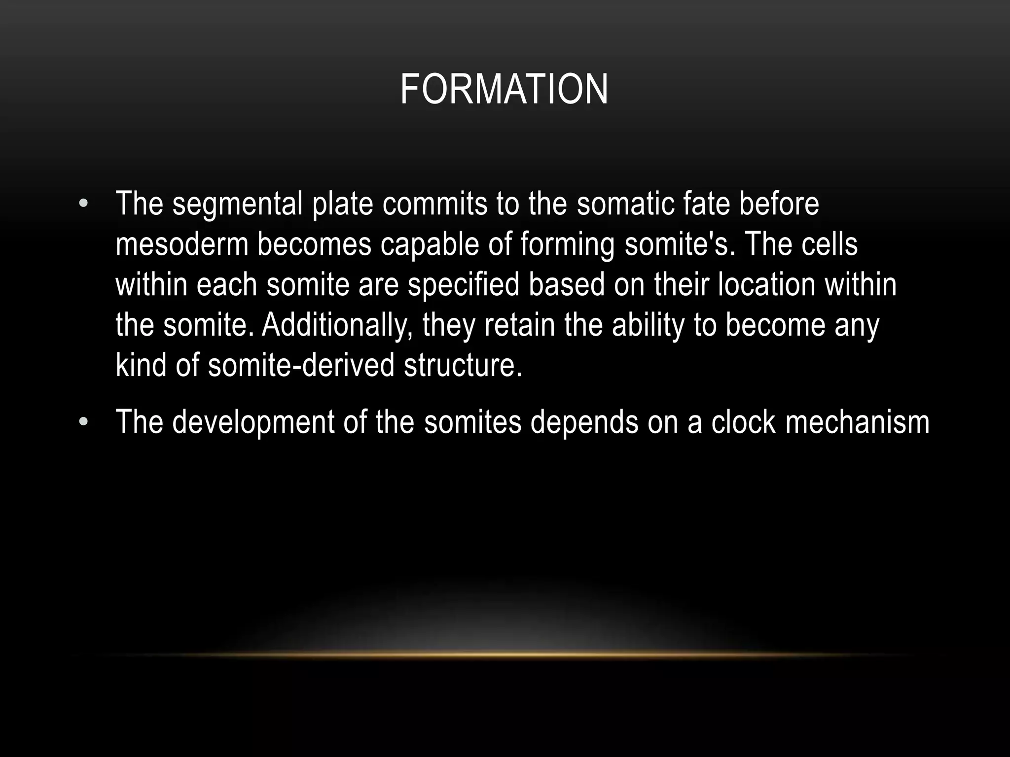 Somite formation | PPTX